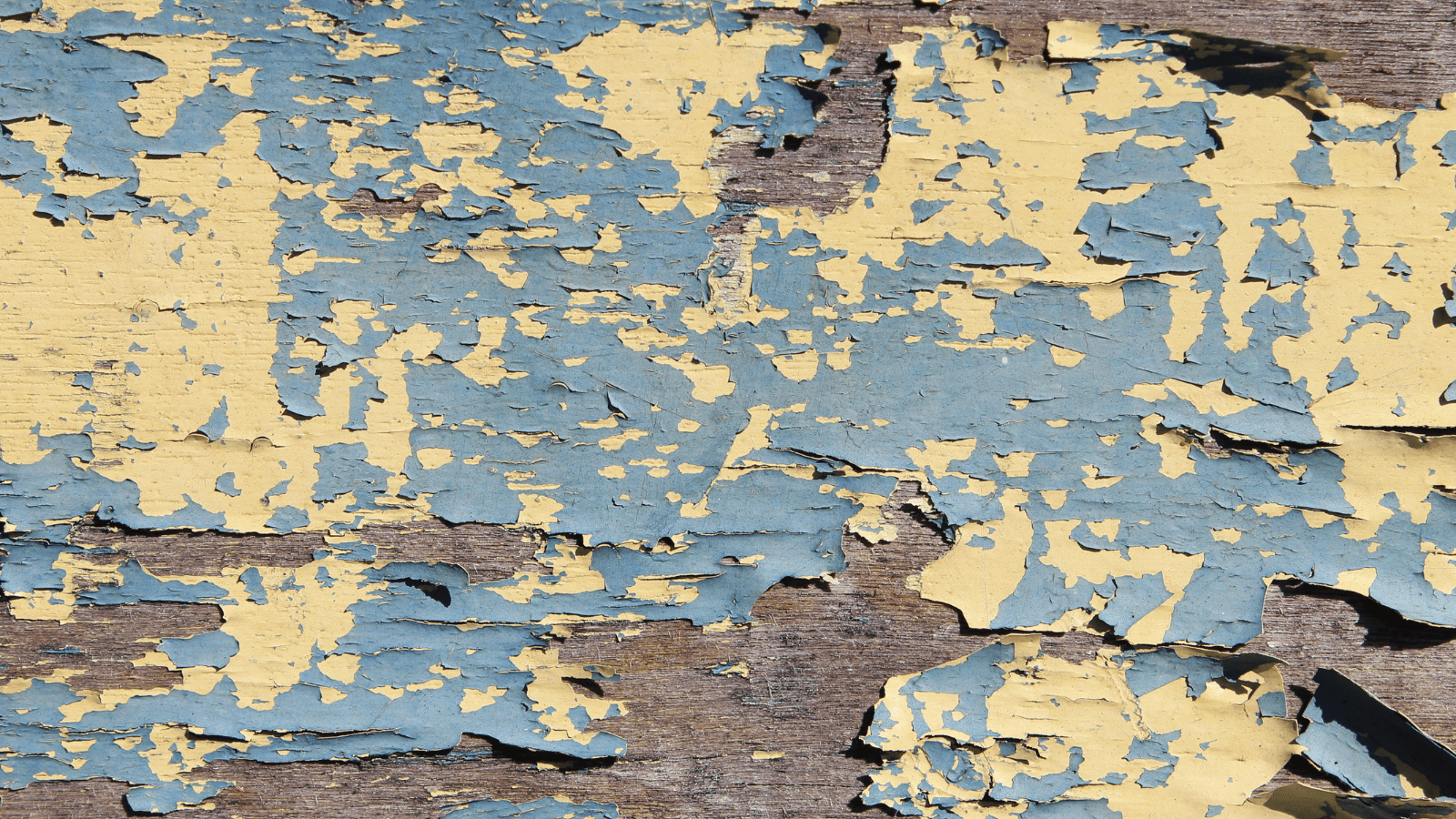 Lead Poisoning Prevention - Hamilton County Public Health